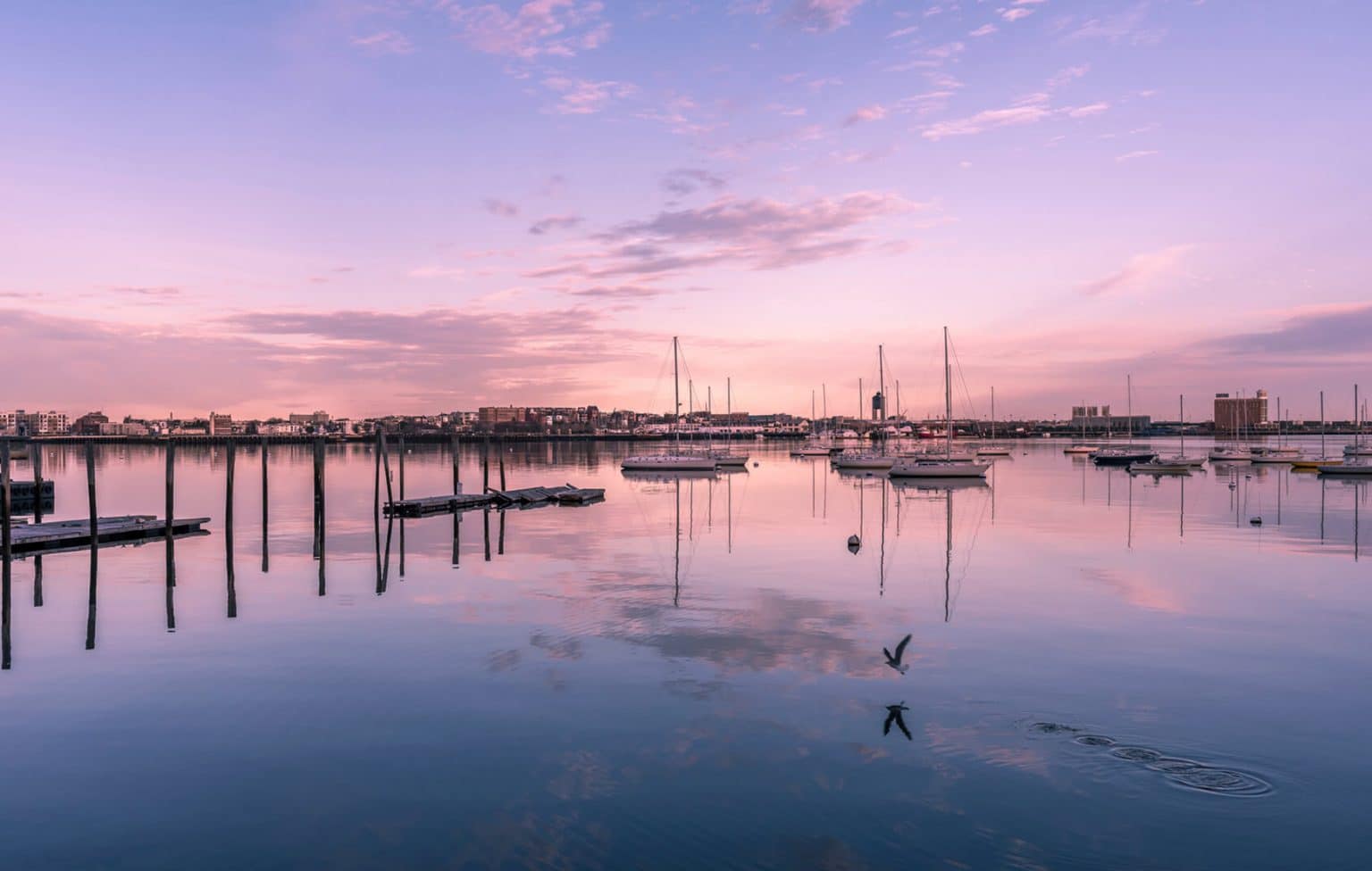 How Do You Reverse Periodontal Disease? - Periodontal Associates Inc